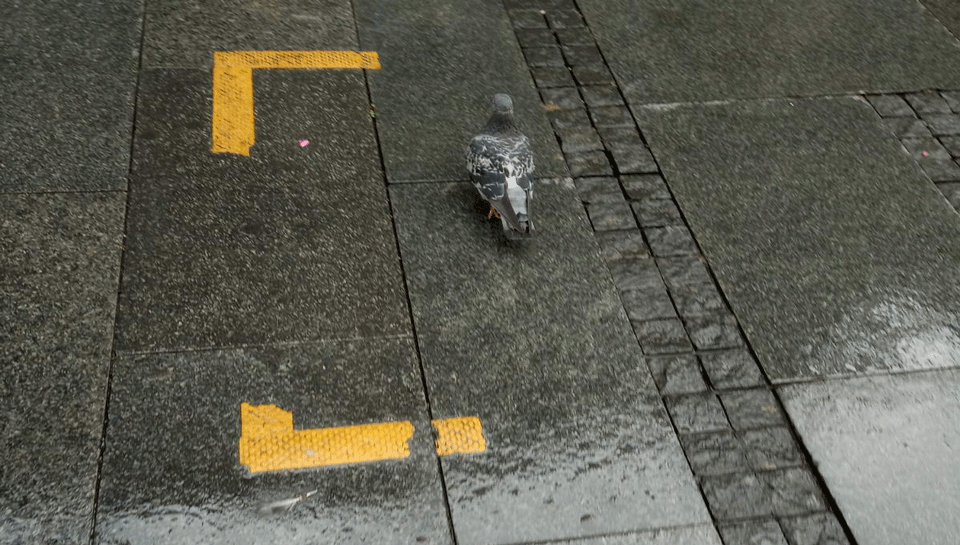 Žak Prever - www.samoozena.com